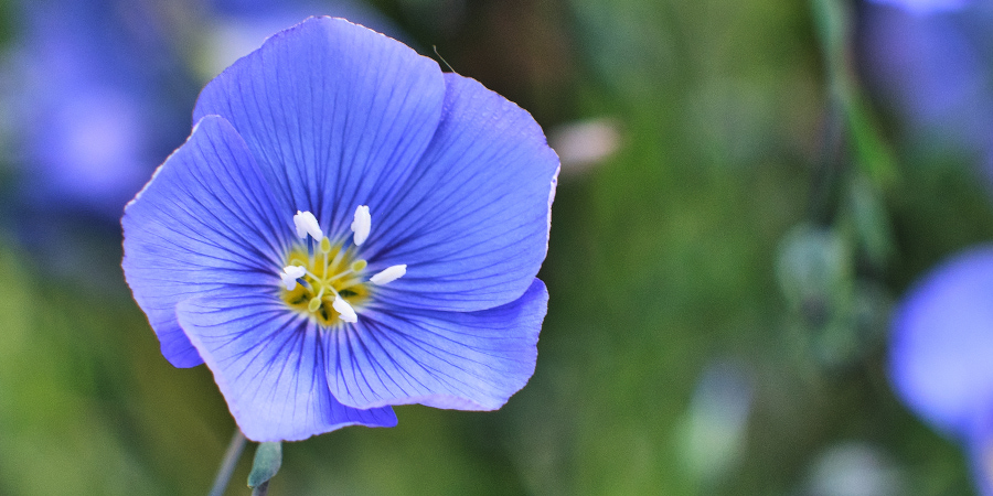 Contacting the syslog-ng team: reporting problems, asking questions ...