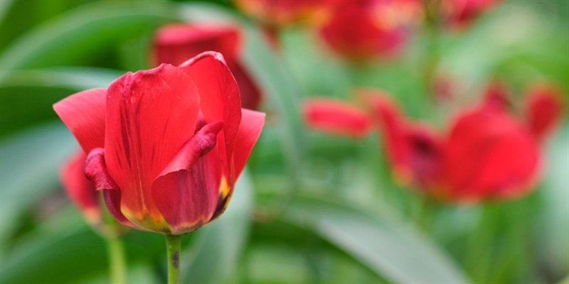 Sending Logs From Syslog Ng Store Box To Splunk Blog Syslog Ng Community Syslog Ng Community