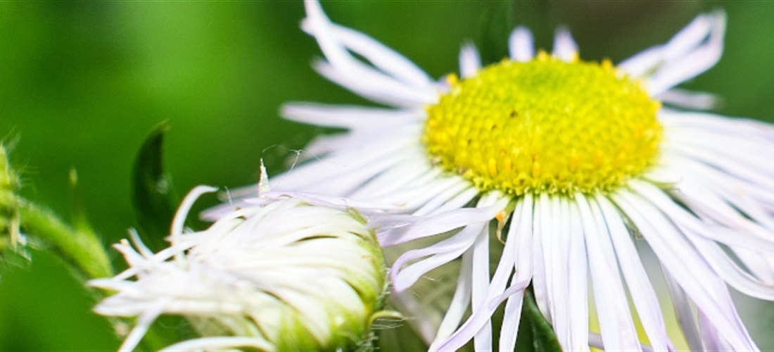 Parsing PAN-OS logs using syslog-ng - Blog - syslog-ng Community ...