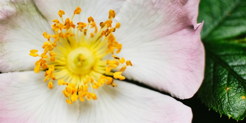 Installing Syslog Ng In Amazon Linux 2 Including Graviton2 Blog